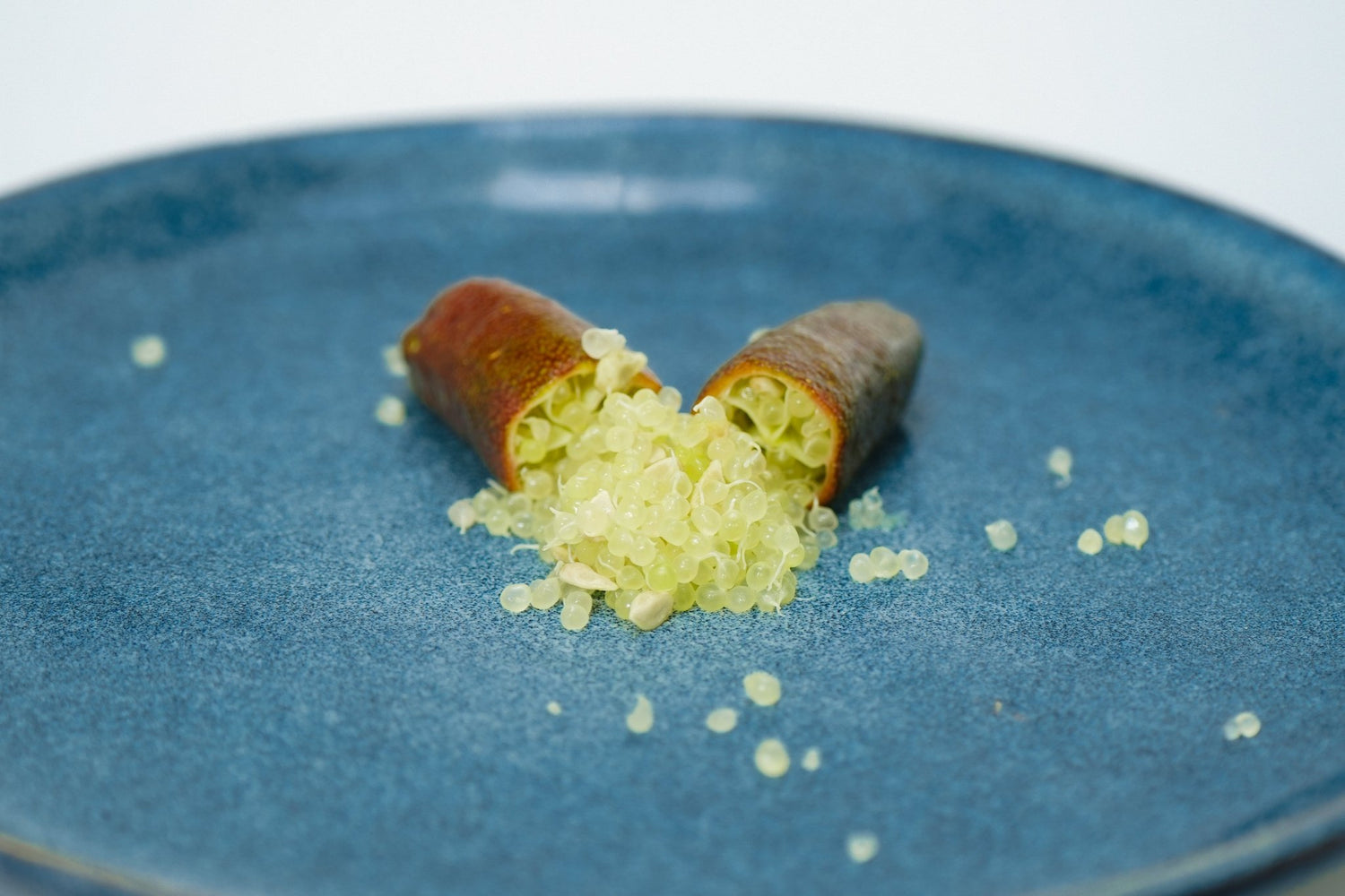 Finger Lime Variety - Chocolate Limonet