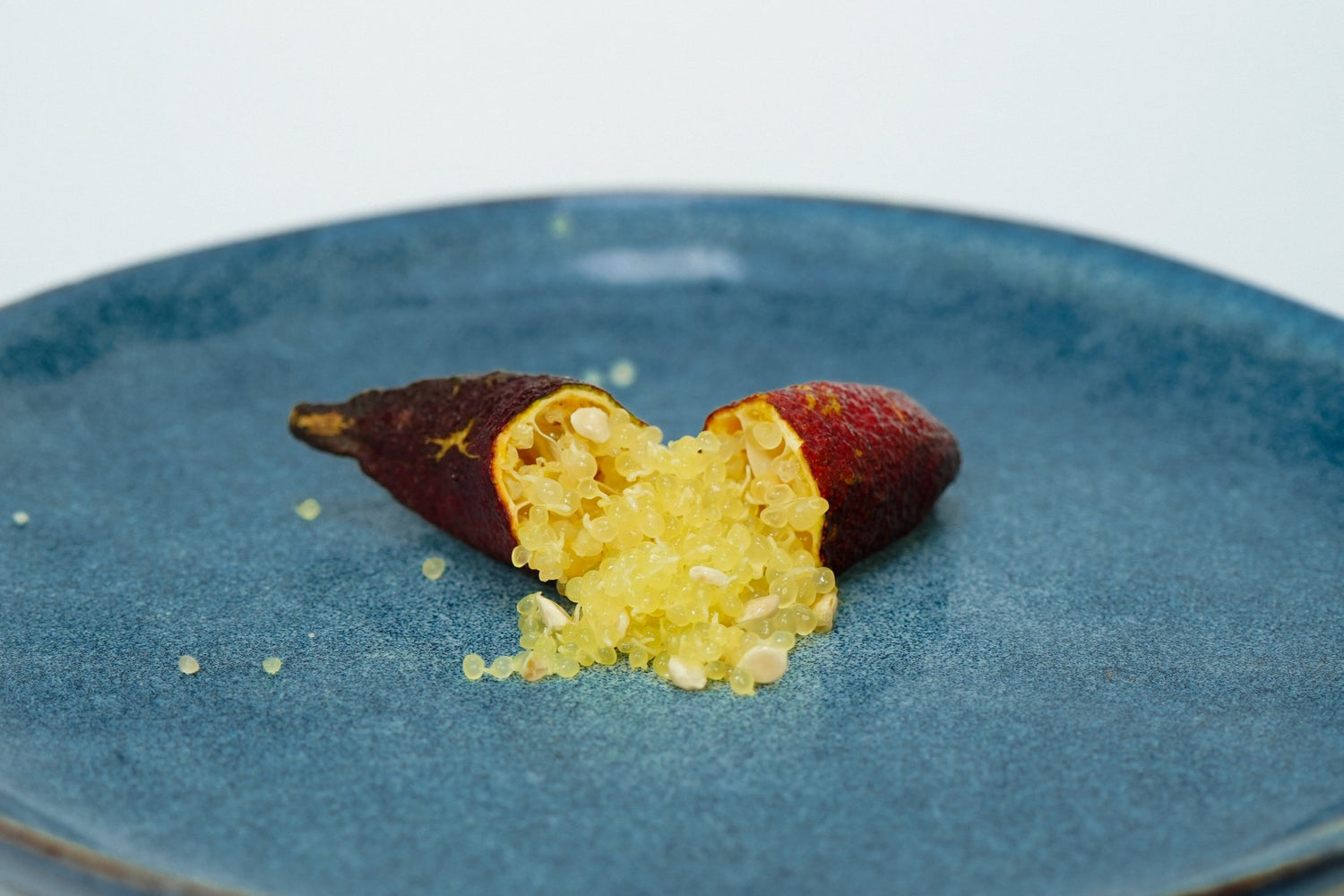 Finger Lime Variety - Royal Pearl