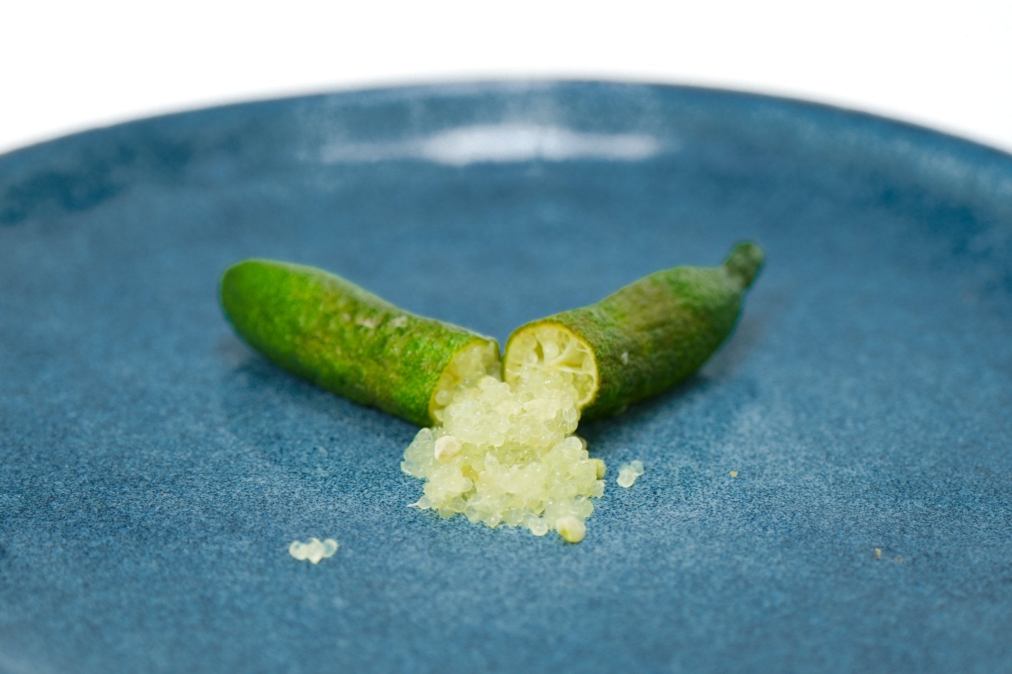 Finger Lime Variety - Tasty Green