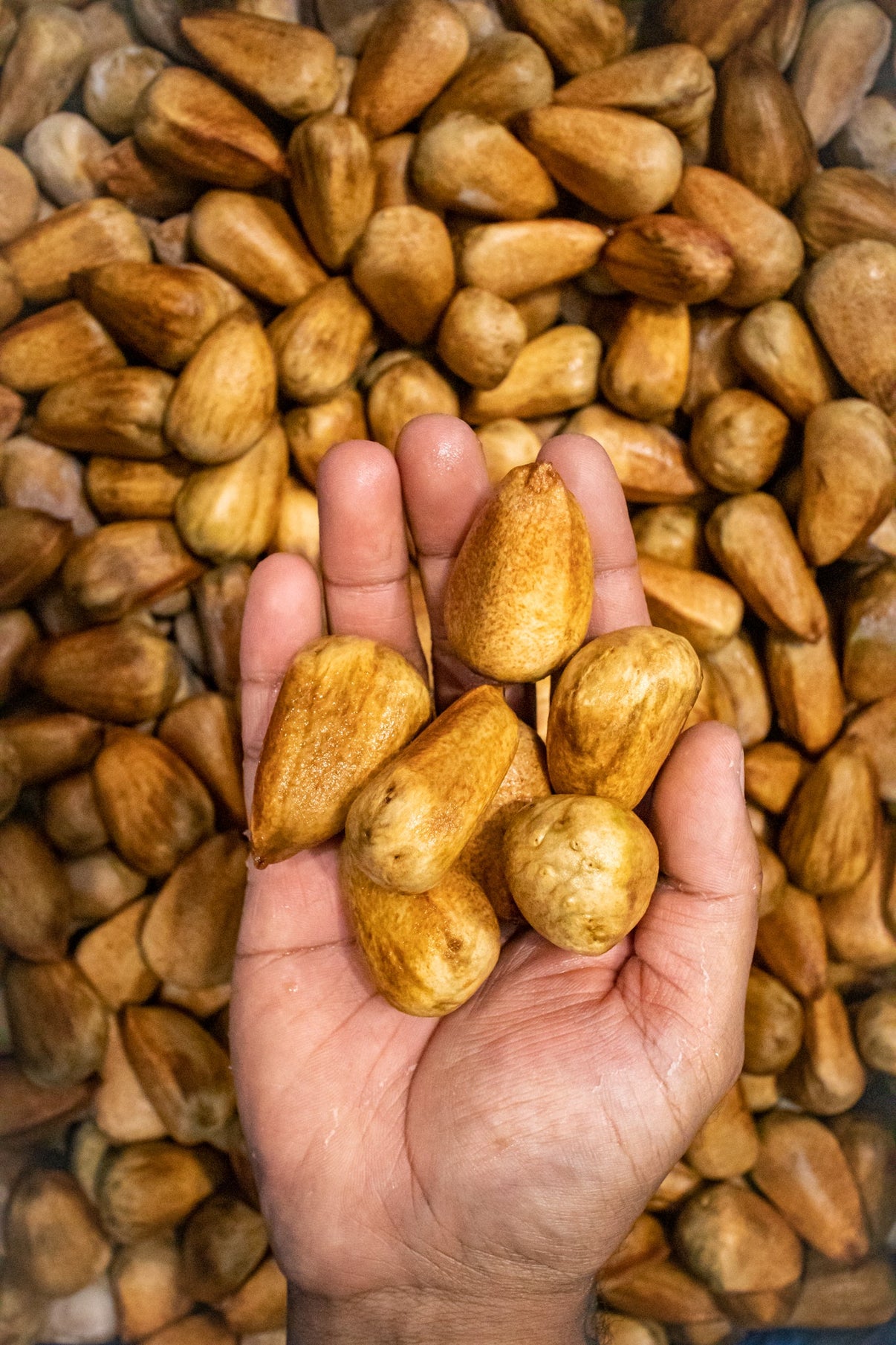 Skip to product information