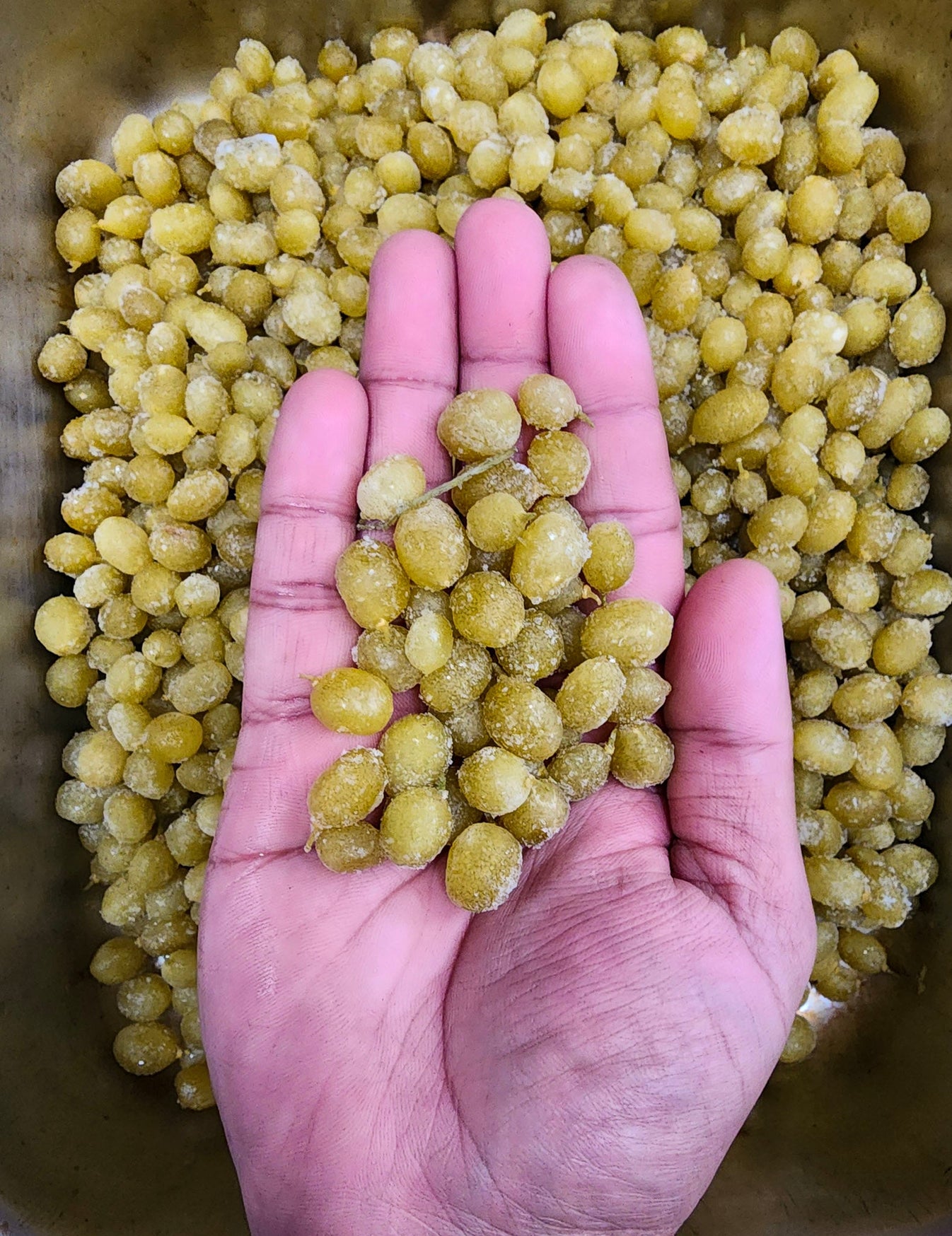 Skip to product information