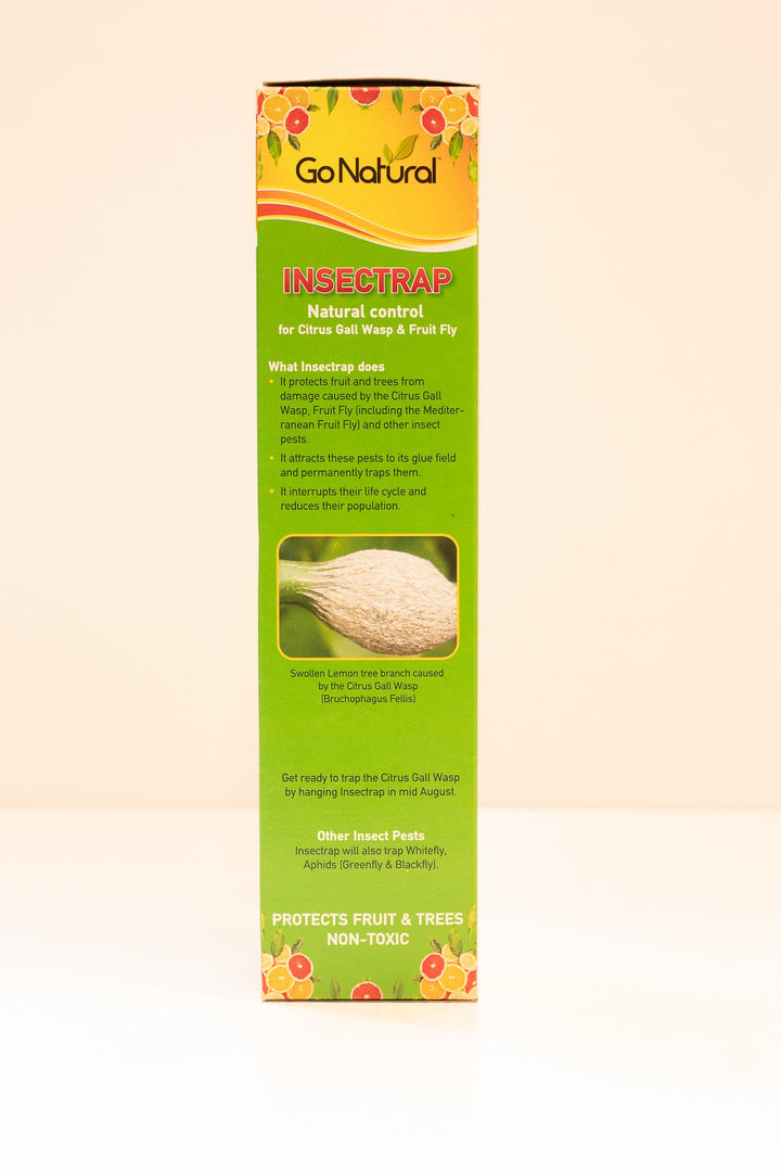 Gall Wasp & Insect Trap