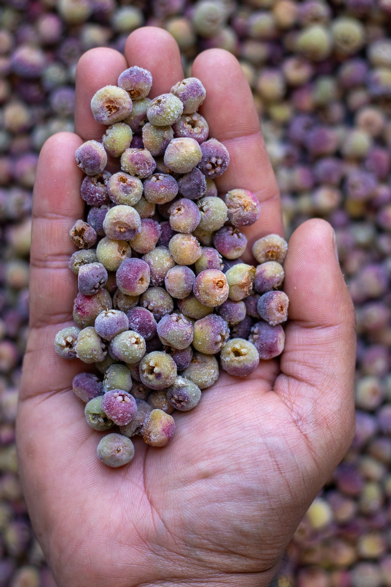 Open media 1 in modal