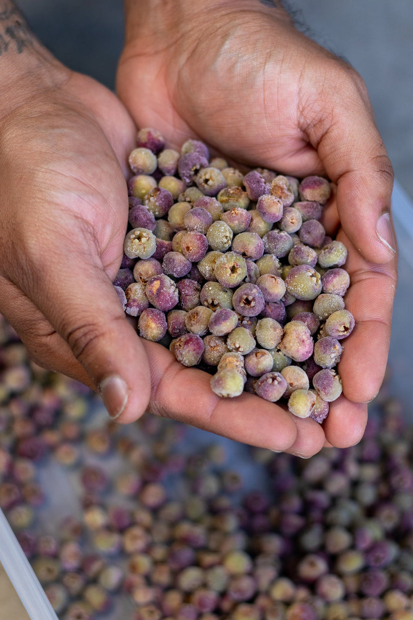 Open media 1 in modal