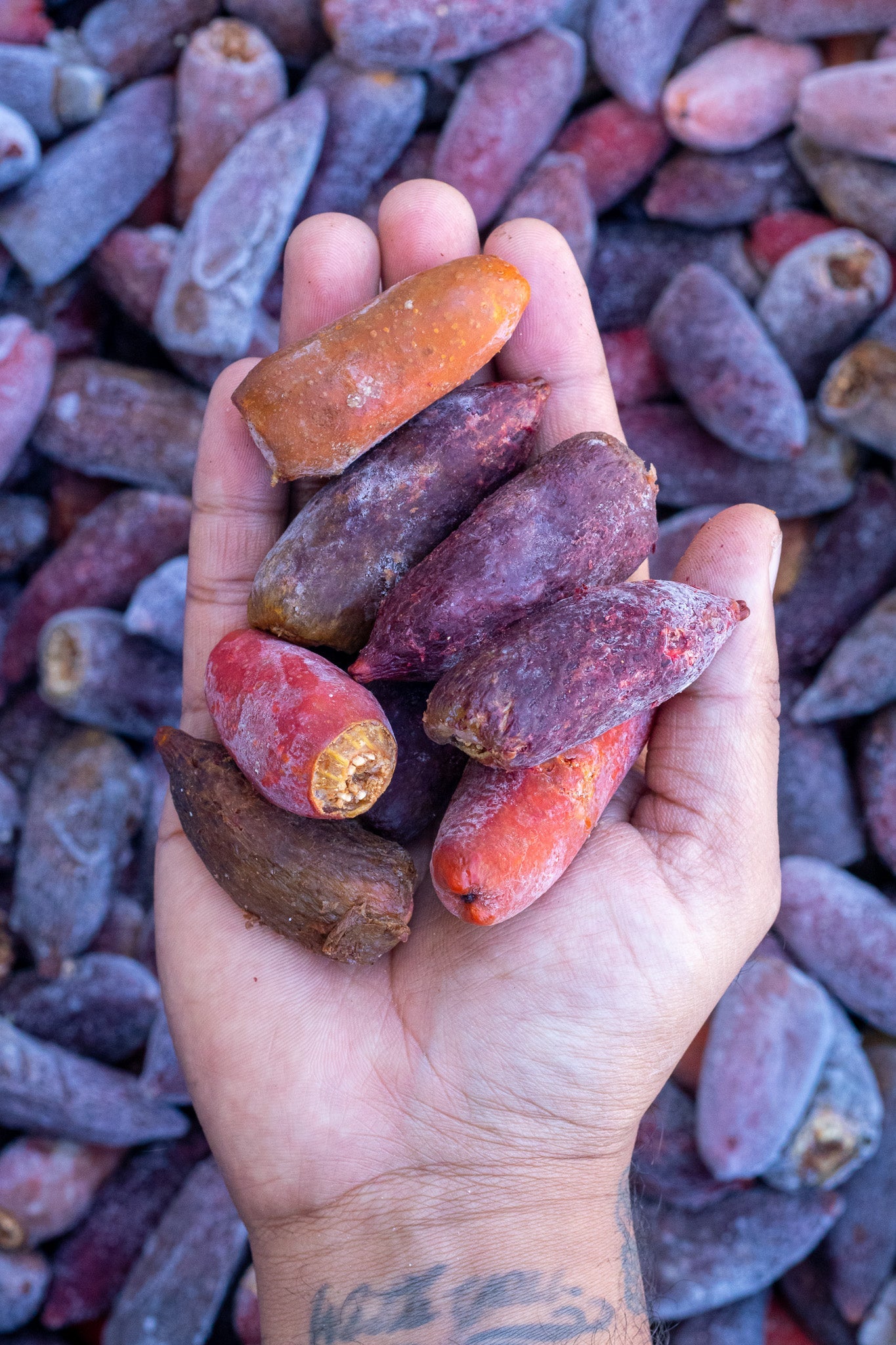 Native "Banana" Figs
