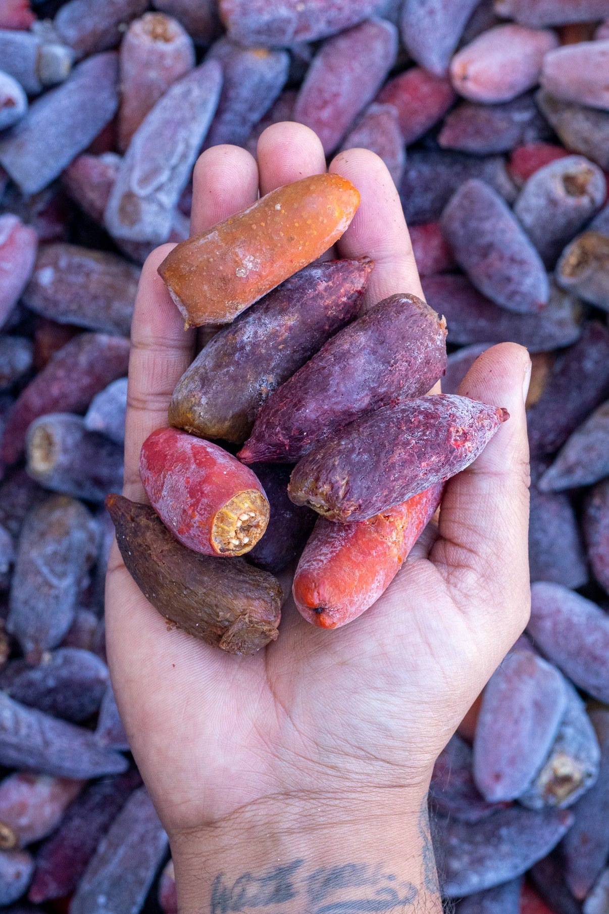 Skip to product information