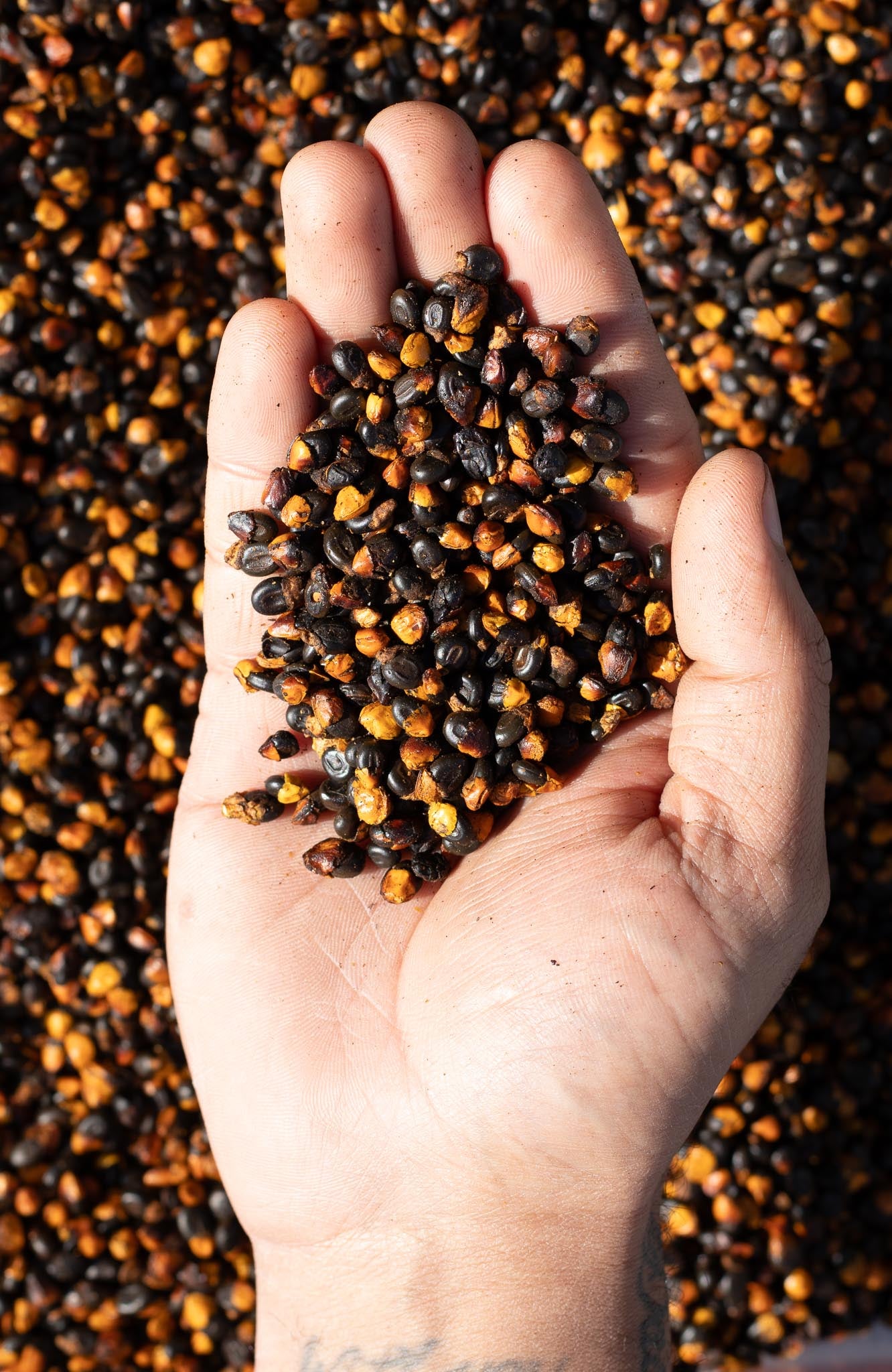 Skip to product information